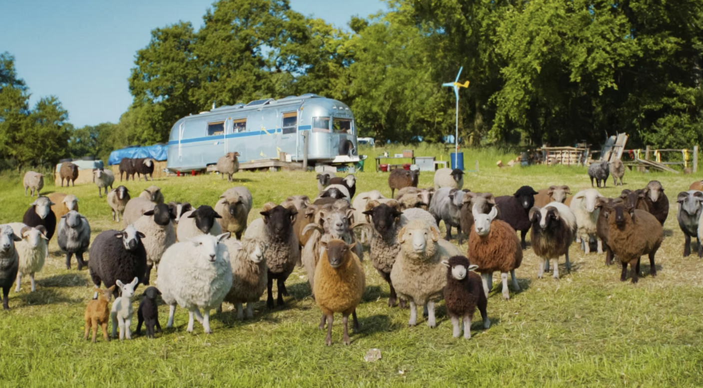 ‘The Sheep Detectives’ Review – Nonstop Nerd
